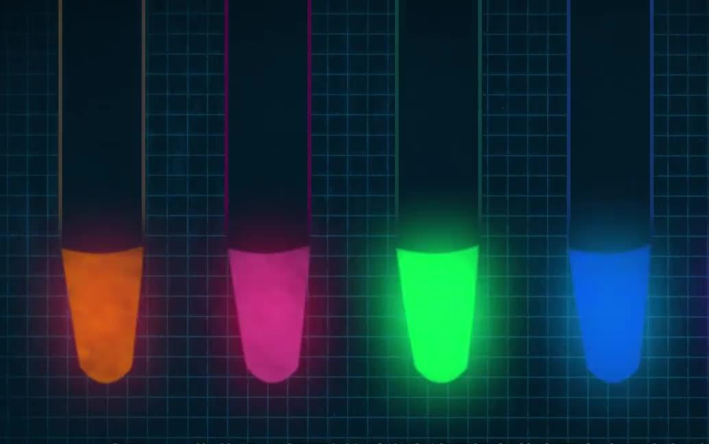 【中英字幕】2008年诺贝尔化学奖-绿色荧光蛋白