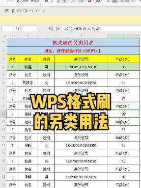 格式刷的另类用法~#wps #wps表格技巧 #wps表格教学 @抖音小助手