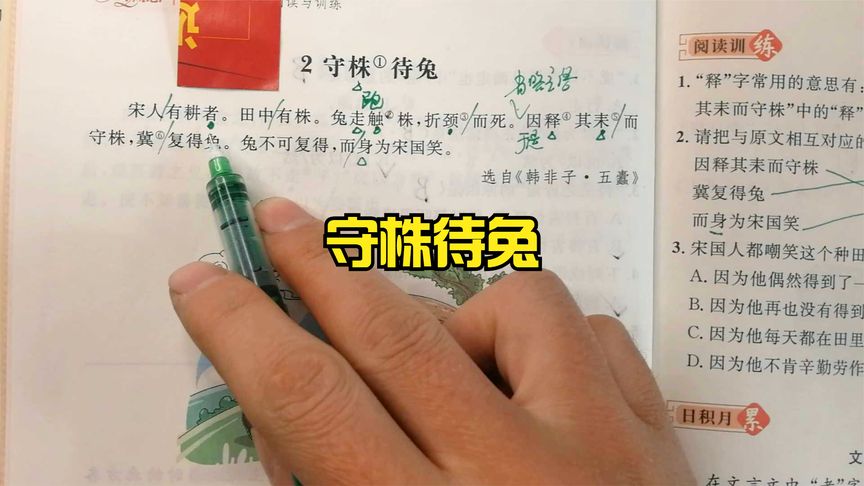 文言文小古文学习:守株待兔,小学中高年级语文。