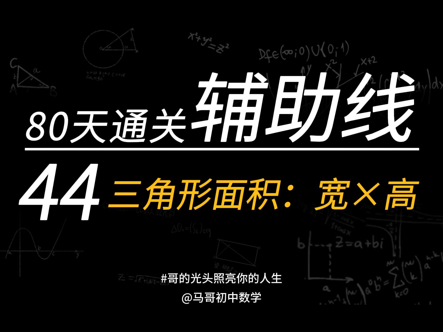 【初中数学】80天通关辅助线44 三角形面积:宽x高