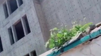一般水泥大概五百一吨,你自己掂量掂量这房子多少吨,多少钱?