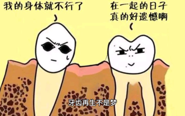 世界首款牙齿再生药物临床试验,可促进牙齿第三次发育