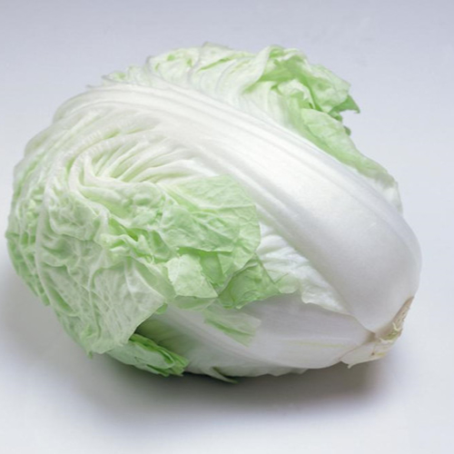 红烧大油菜 