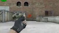 【CS:1.6】CSO手臂-双持迷彩沙漠之鹰