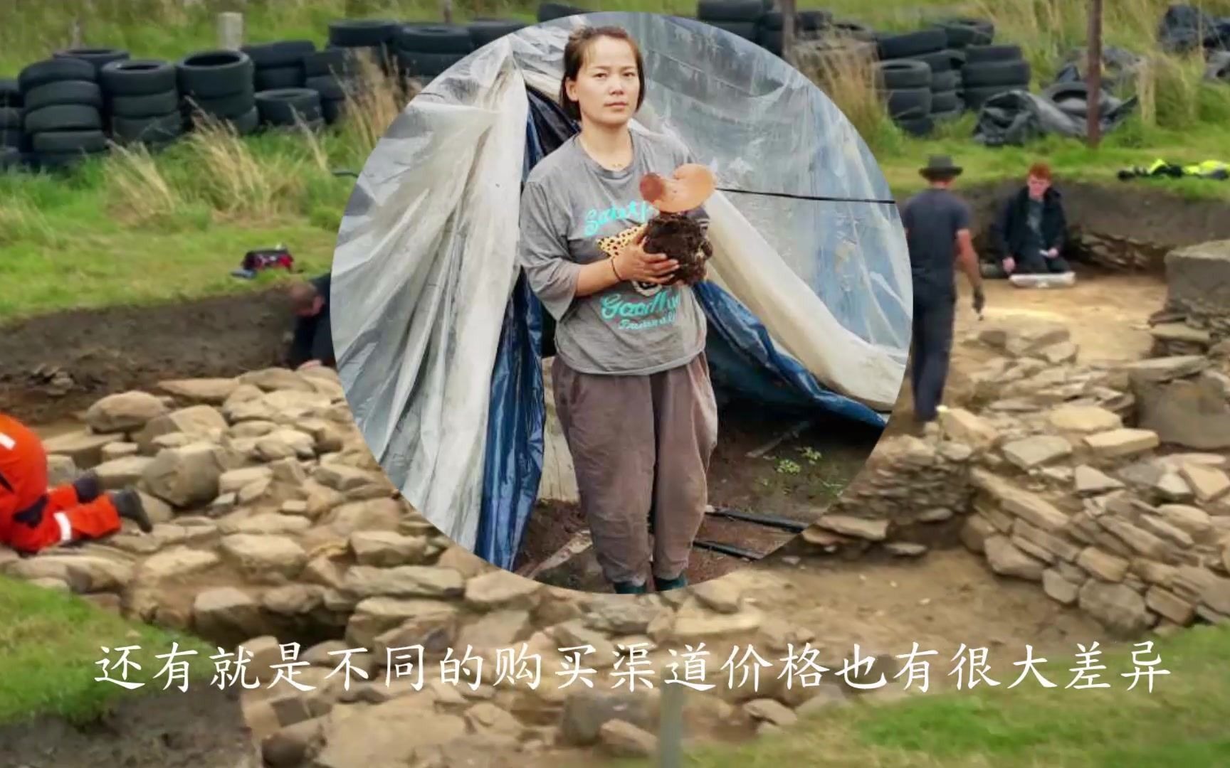 灵芝孢子粉一克多少,灵芝孢子粉的功效食用方法