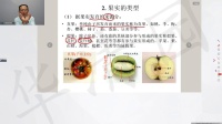 08奥赛生物-植物学-种子植物的繁殖器官(种子和果实)