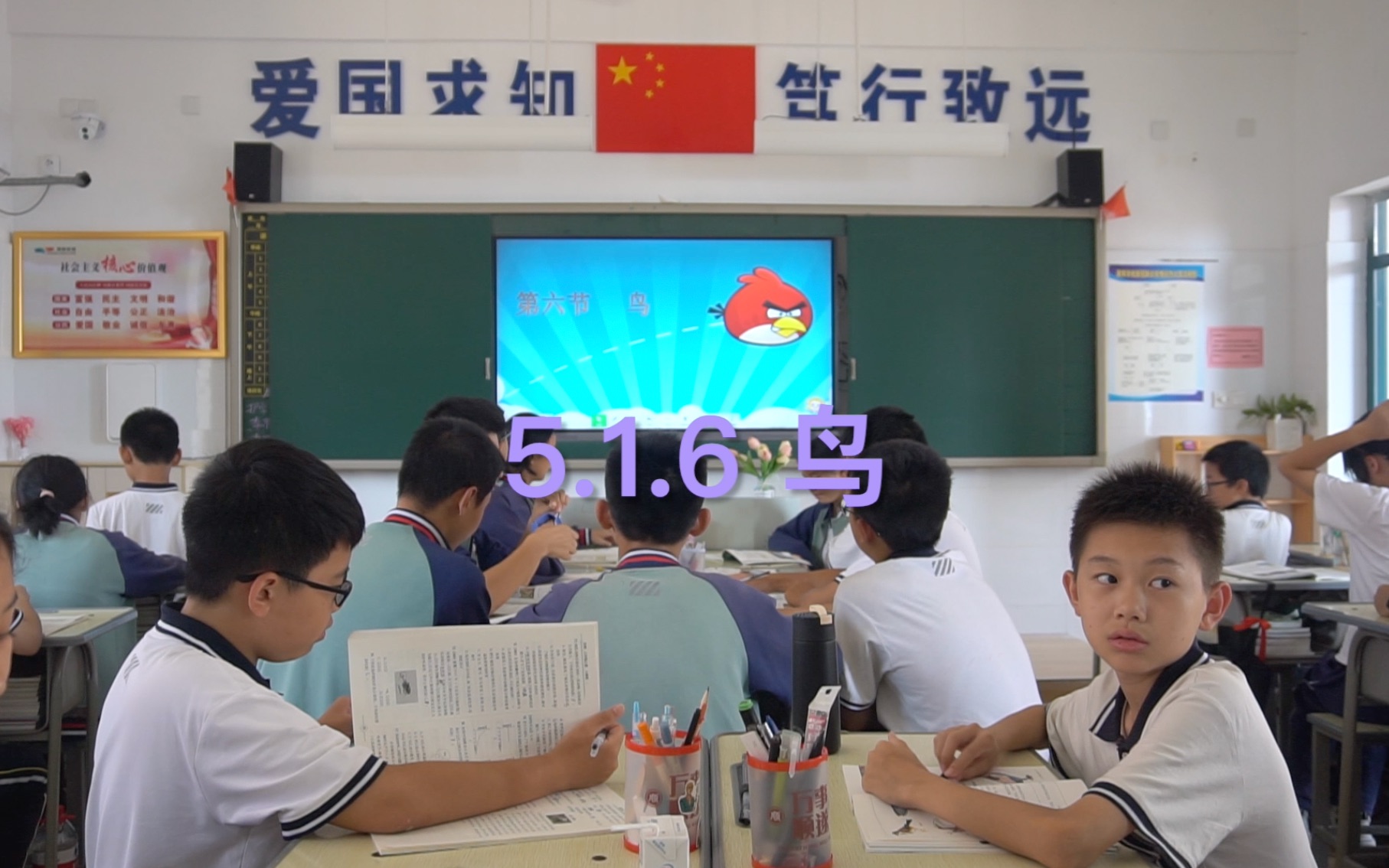 鸟-八年级上册人教版生物课堂实录
