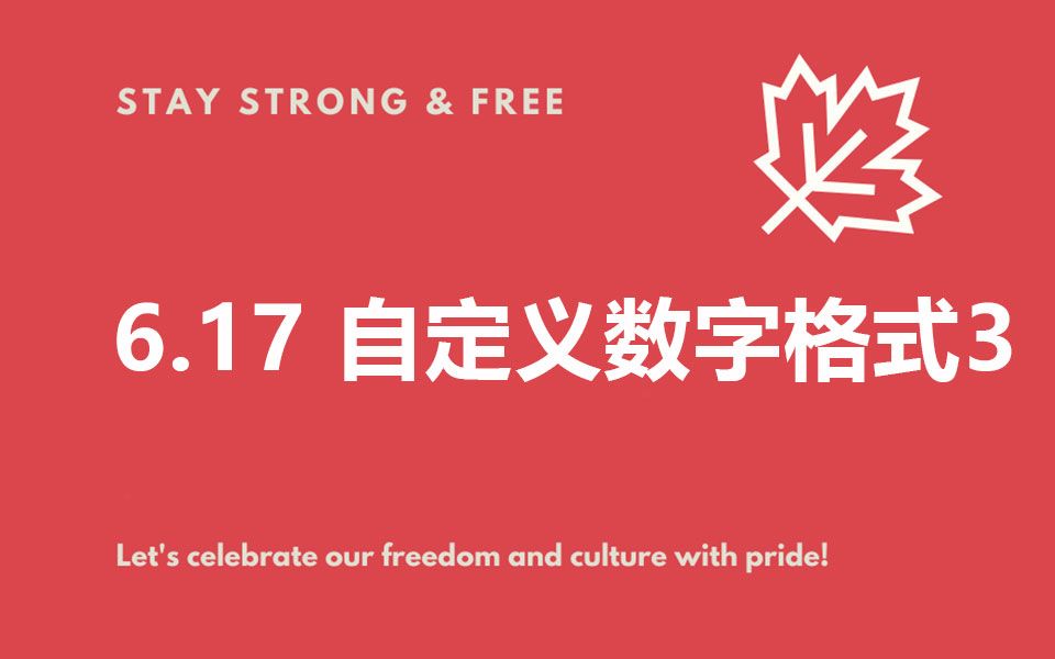 6.17 自定义数字格式3