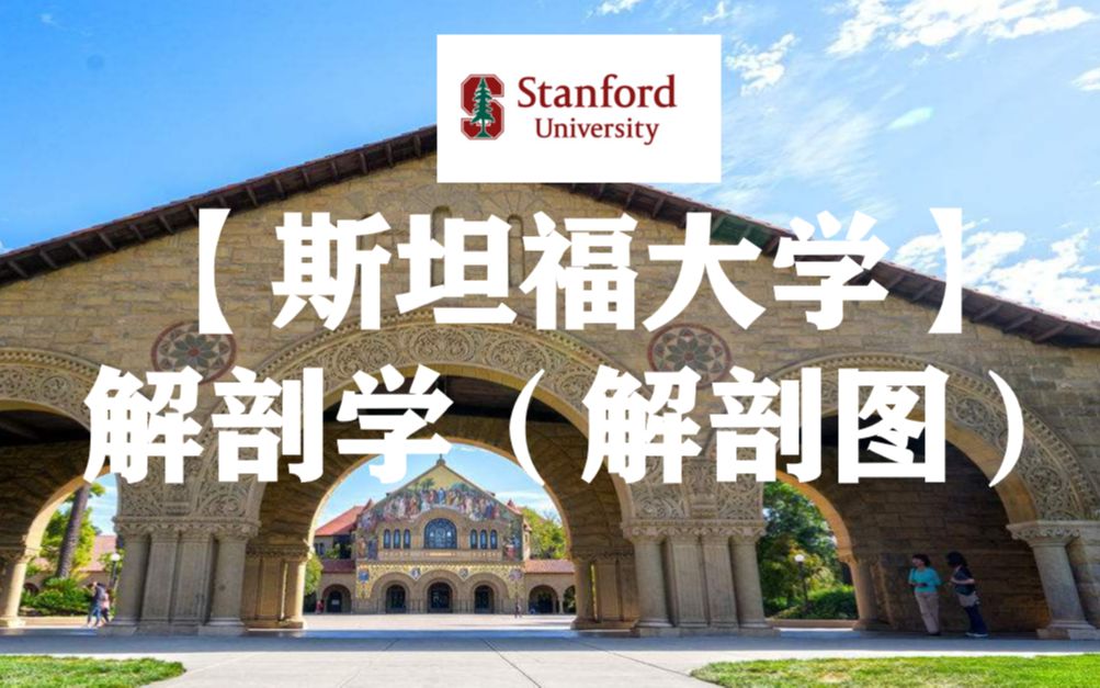 【斯坦福大学】公开课 | 医学类 | 解剖学(解剖图)