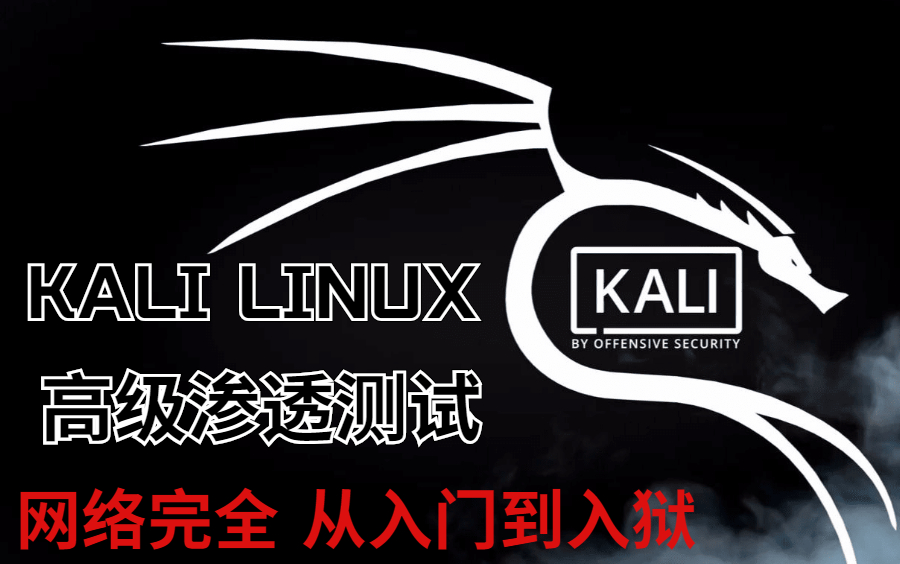 【Web安全】学完干翻赌博色情网站!2021年Kali渗透教程/网络安全/...