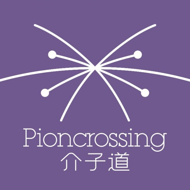 介子道PionCrossing 