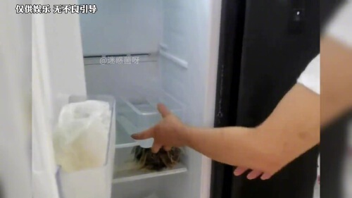 盘点那些没用的生活小妙招,听君一席话,浪费我5分钟