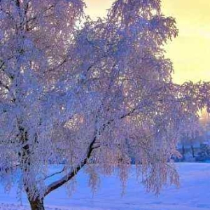 假如还有如果会怎样 