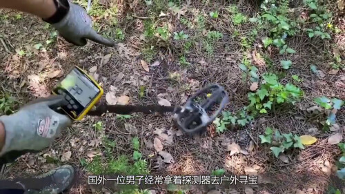 森林寻宝挖到"小宝箱",藏着罕见宝物,运气真不错!