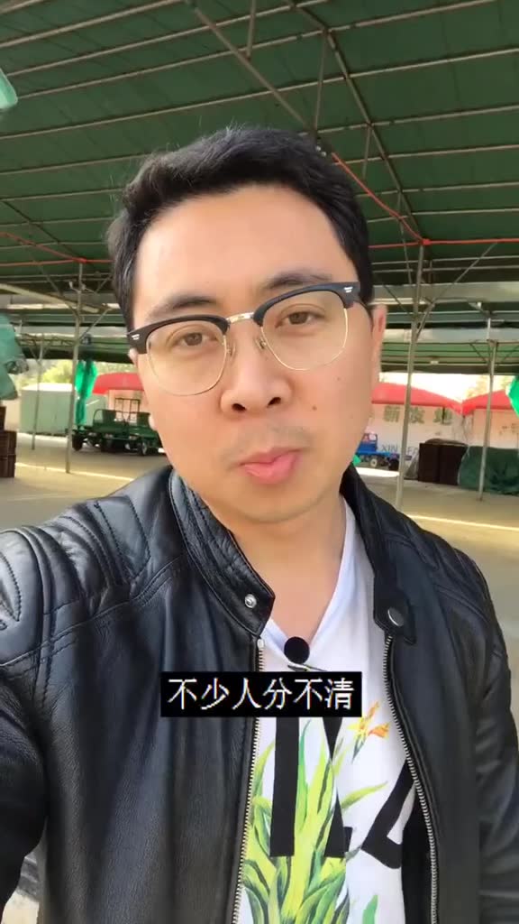 秋月梨和丰水梨的区别!1111好物发现节