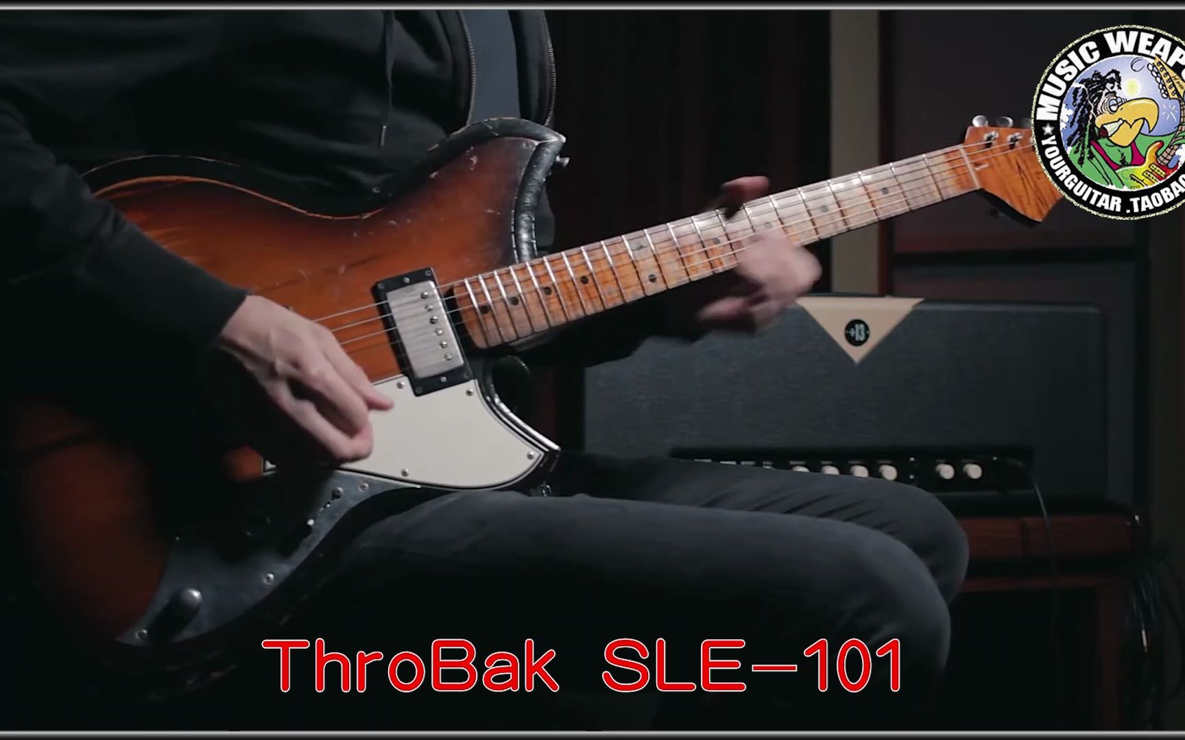Throbak/SLE-101/Custom Shop/PAF/Gibson/ES/SG/Les Paul/R7/R8/...