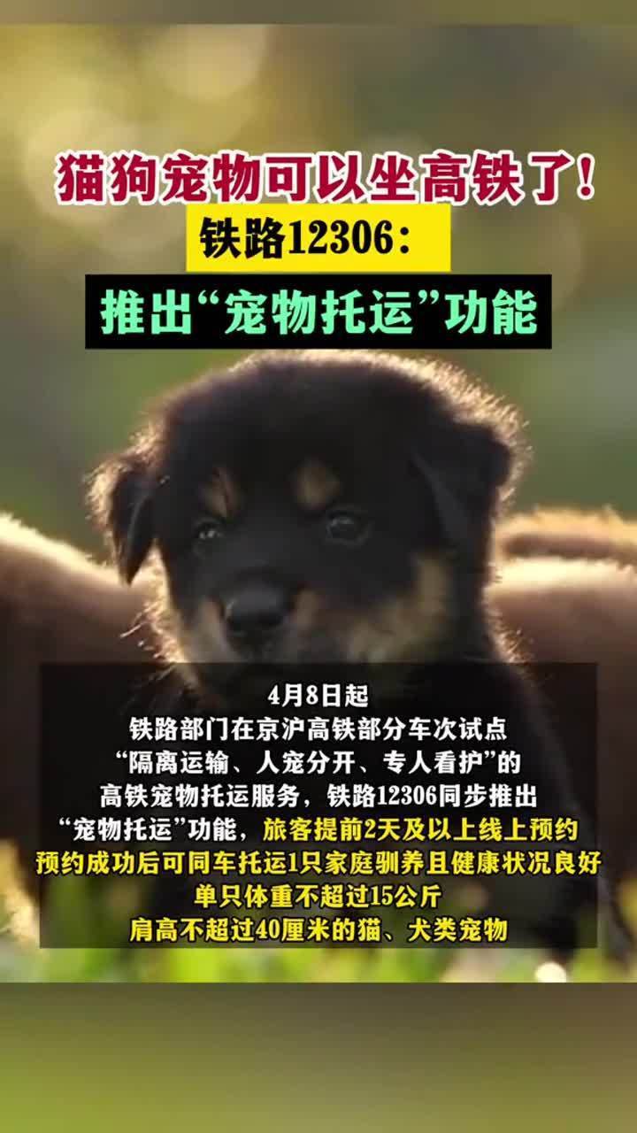 铁路12306推出"宠物托运"功能,猫狗宠物能坐高铁啦!