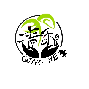 屏南一中青禾实践队 