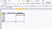案例3-20 用透视表统计分析HD