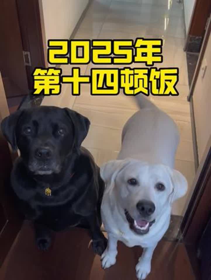 2025年过来半个月了!每天标一下第几顿饭看着数据有点吓人!时间过的...
