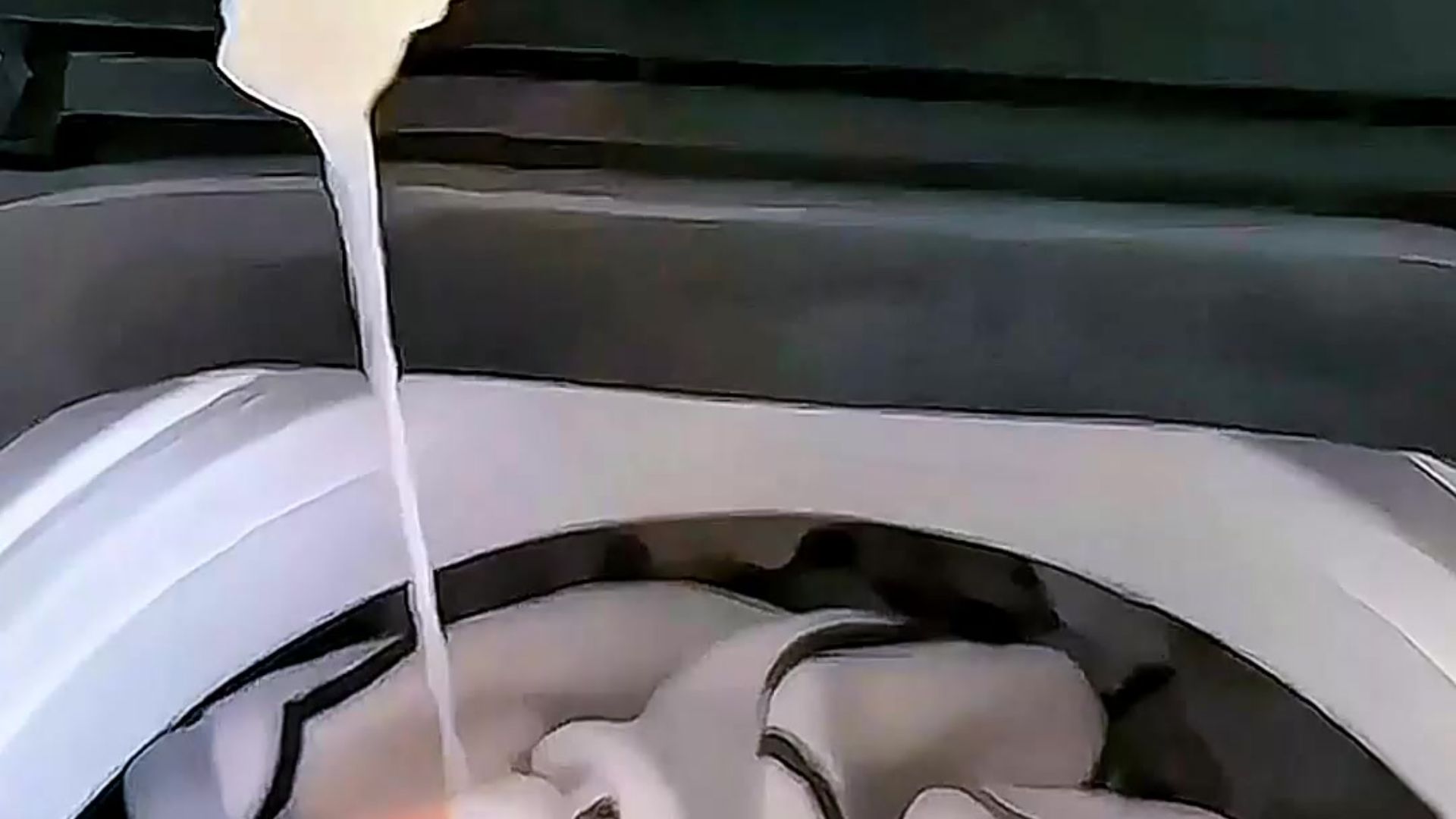 小天鹅TB1048U2波轮洗衣机 全自动水魔方防缠绕超微泡沫洗净