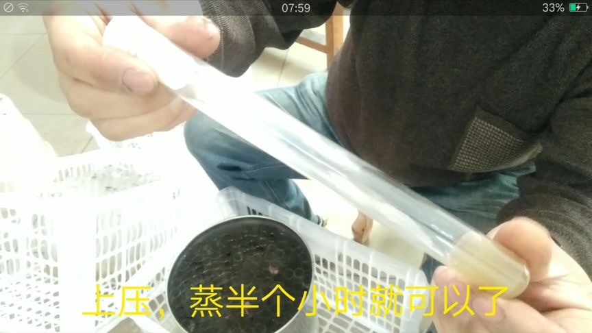 羊肚菌母种试管培养基的制作技术,全网最详细干货,学会就是专家