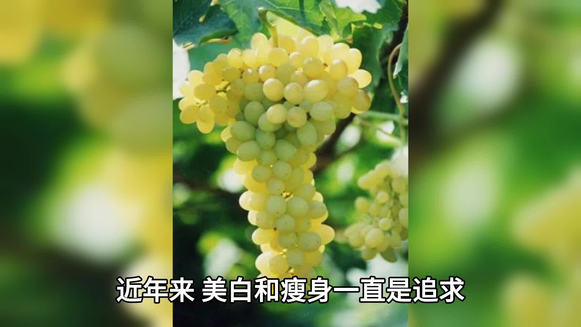 它是水果中的“维C之王”,堪比10个柠檬,常吃美白又瘦身!