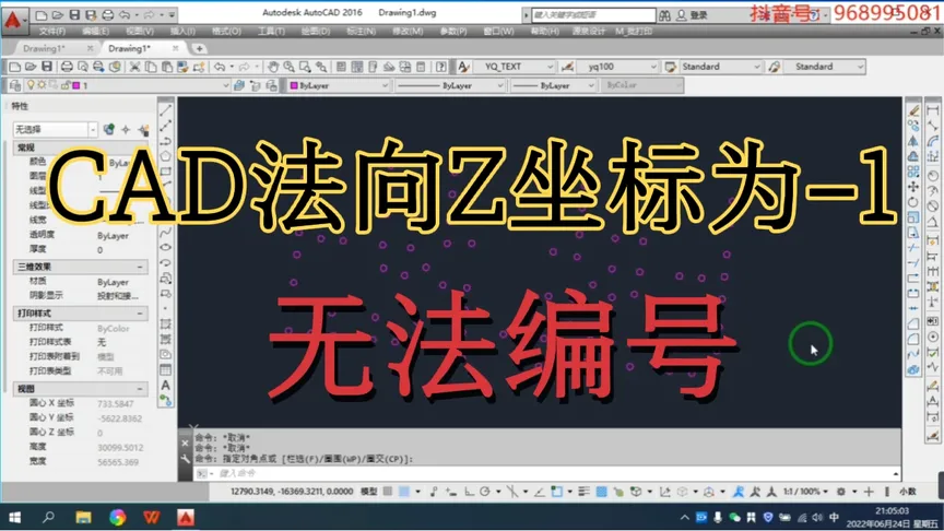 CAD图纸几何图形法向Z坐标为–1,无法进行桩编号提取坐标。