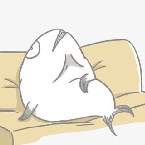 汤圆CTL 