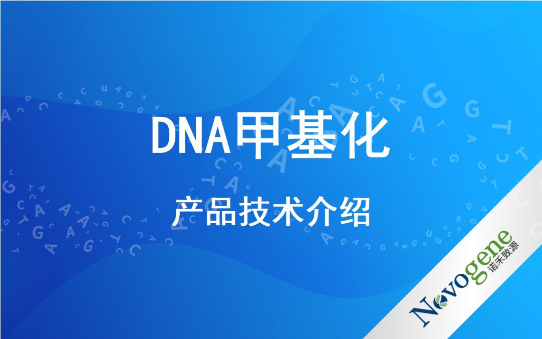 简简单单告诉你什么是DNA甲基化