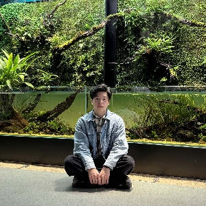 小马玩水族 