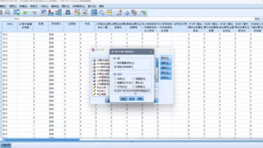 【自用】spss大作业软件教程