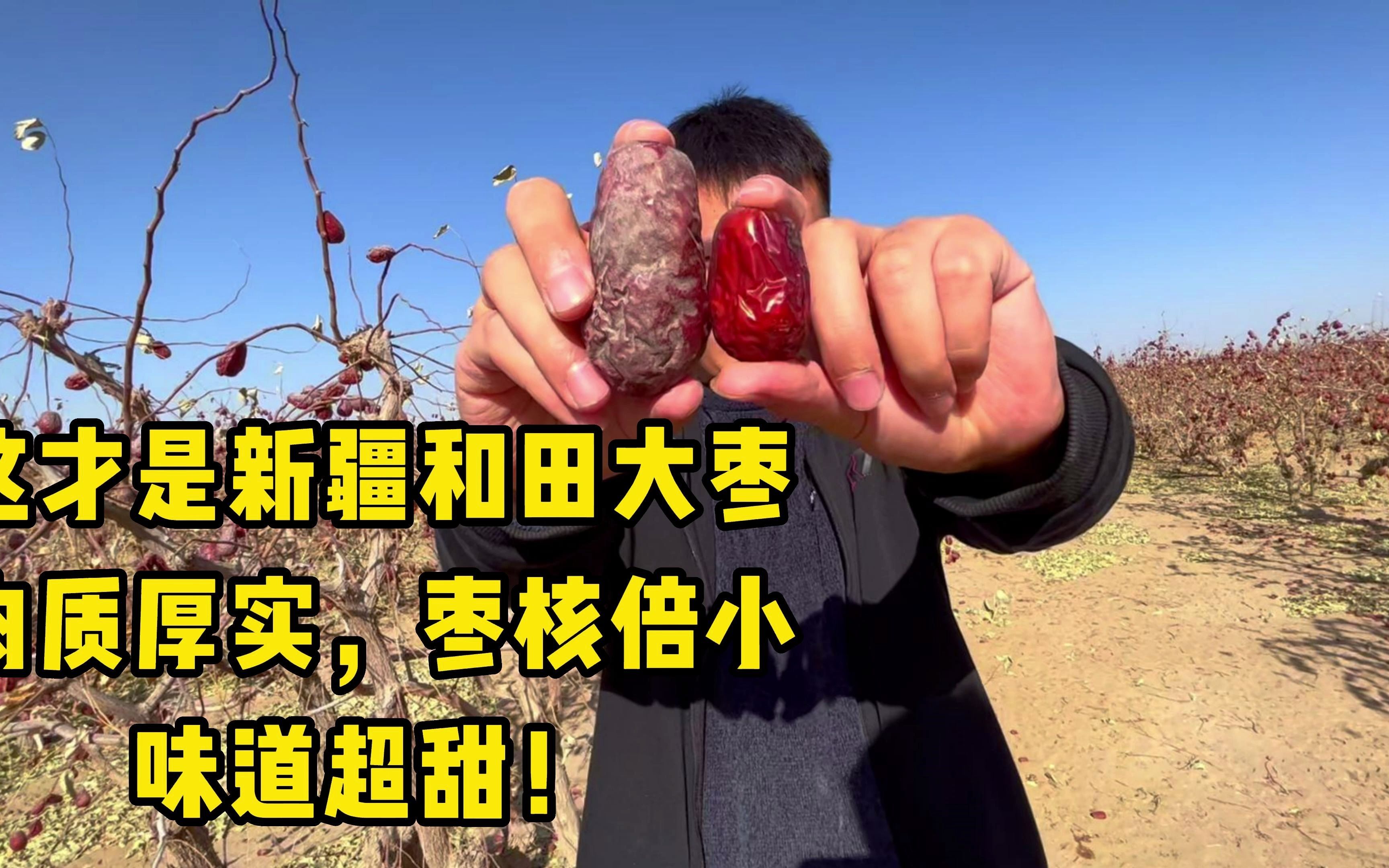 这才是新疆和田大枣肉质厚实,枣核倍小味道超甜!