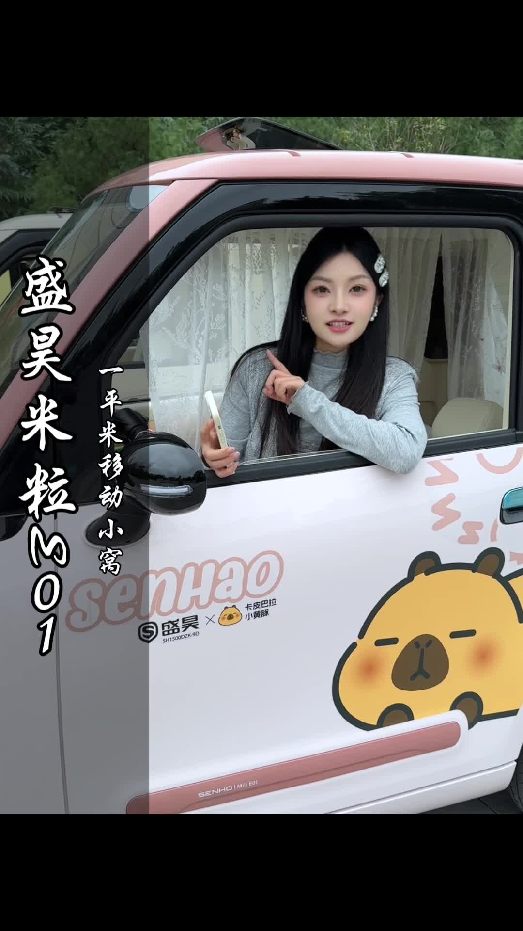 一平米的移动小窝也太可爱了叭#盛昊篷车#电动三轮车#三轮车#全...