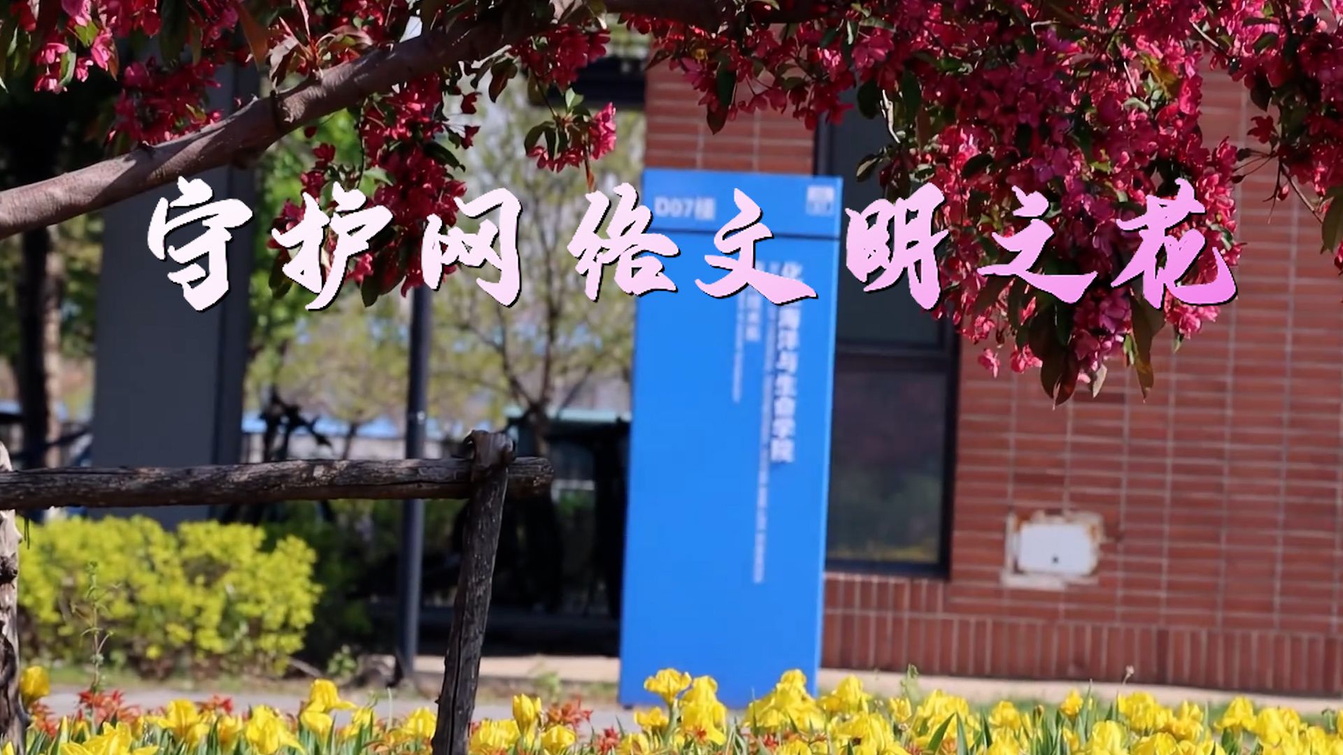 《守护网络文明之花》l “我心中的思政课”——第八届全国高校大学...