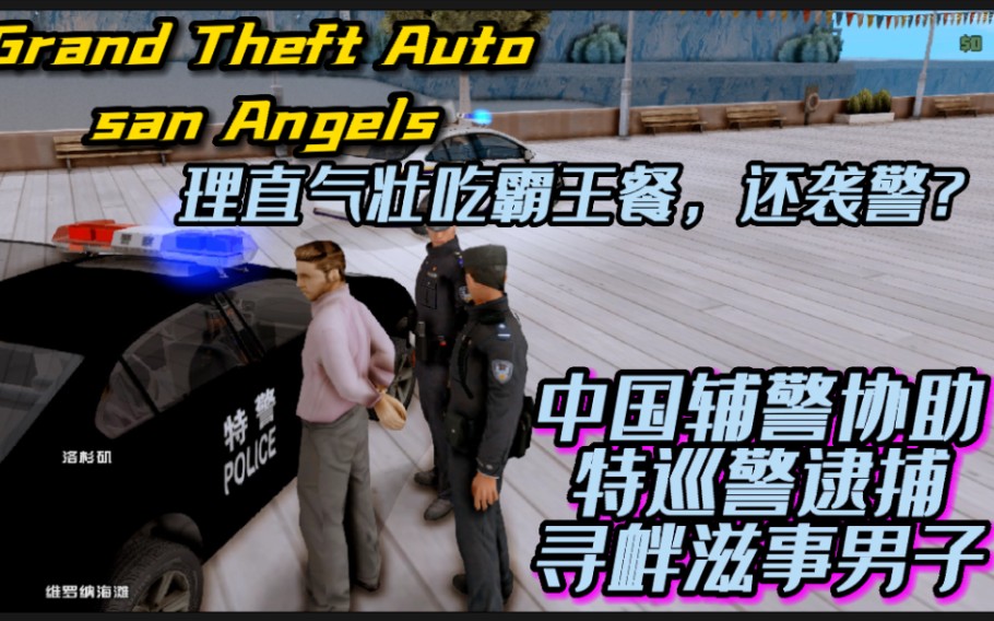 [警察模拟]辅警联合特巡警逮捕寻衅滋事以及故意伤人嫌疑人/嫌疑人...