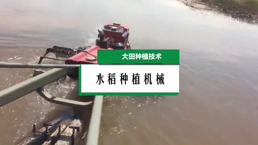 #大田种植技术 水稻种植机械