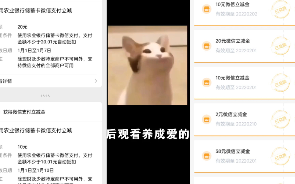 (白给分享)飞行篇 保底必得10立减金