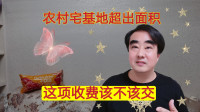 八月份农村宅基地超出使用面积,开始试点收费,这项收费该不该交