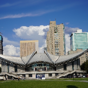 若是喜欢单曲循环呢 