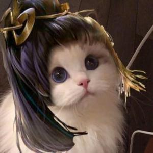 胆小鬼突突