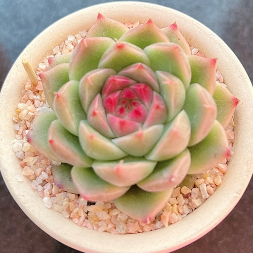 默默876 