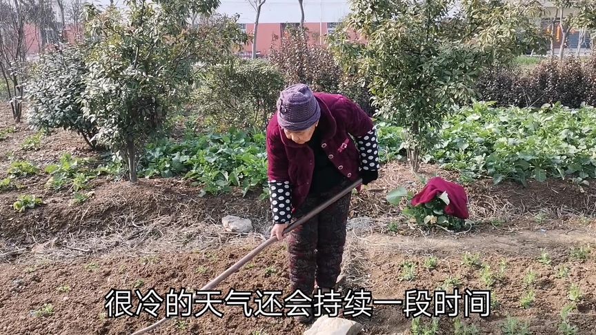 今天立春节气,今年是双春年,立春后天气还会冷吗?答案来了