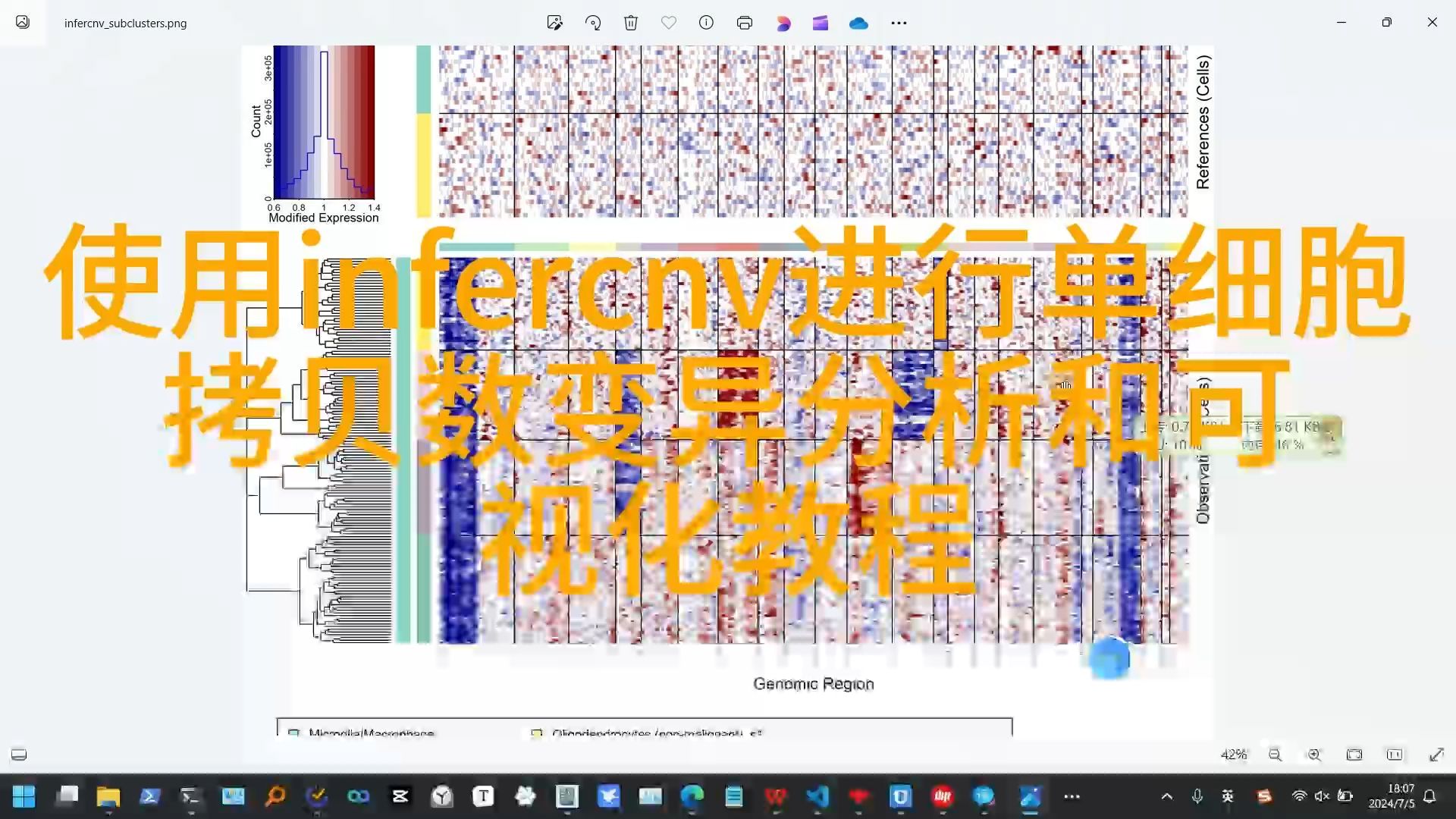 使用infercnv进行单细胞拷贝数变异分析和可视化教程