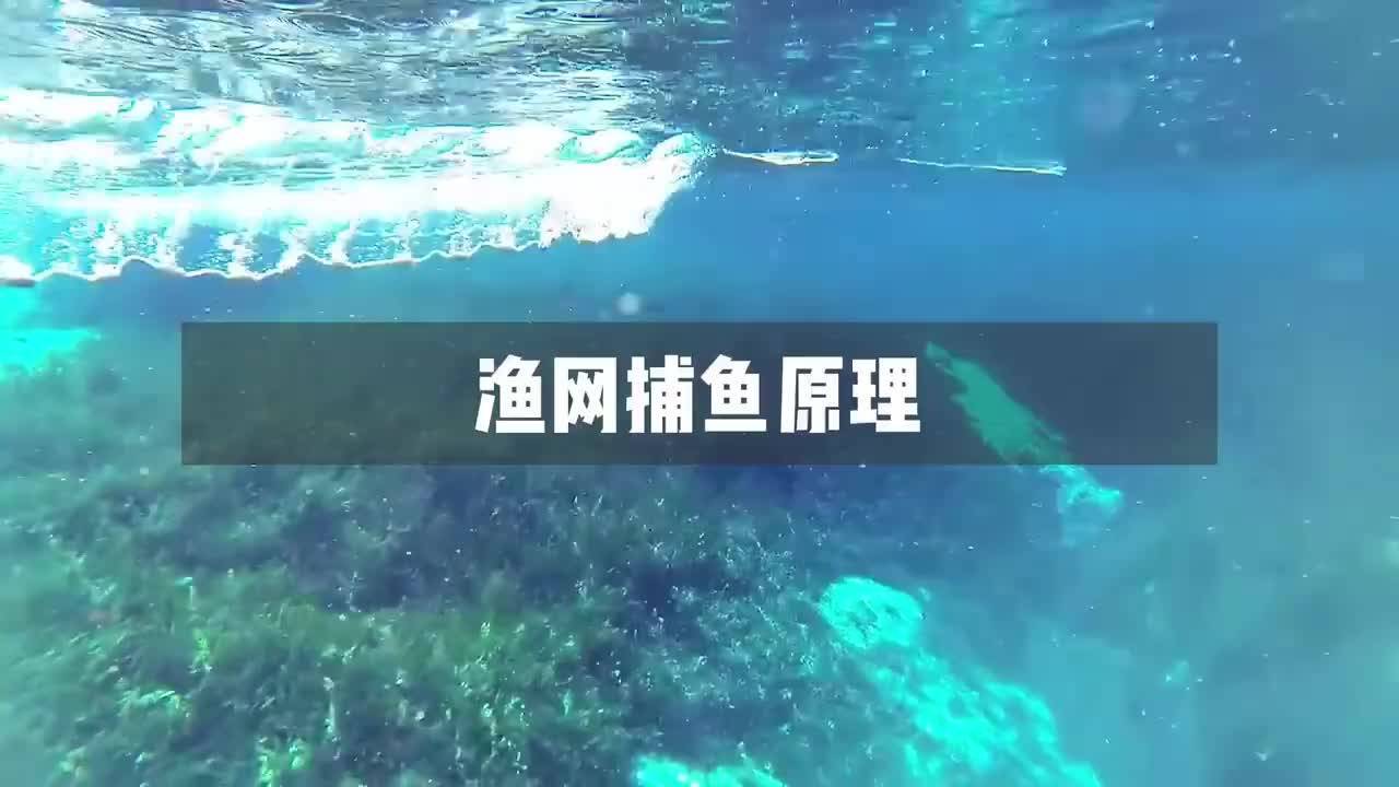 各种类型渔网捕鱼原理