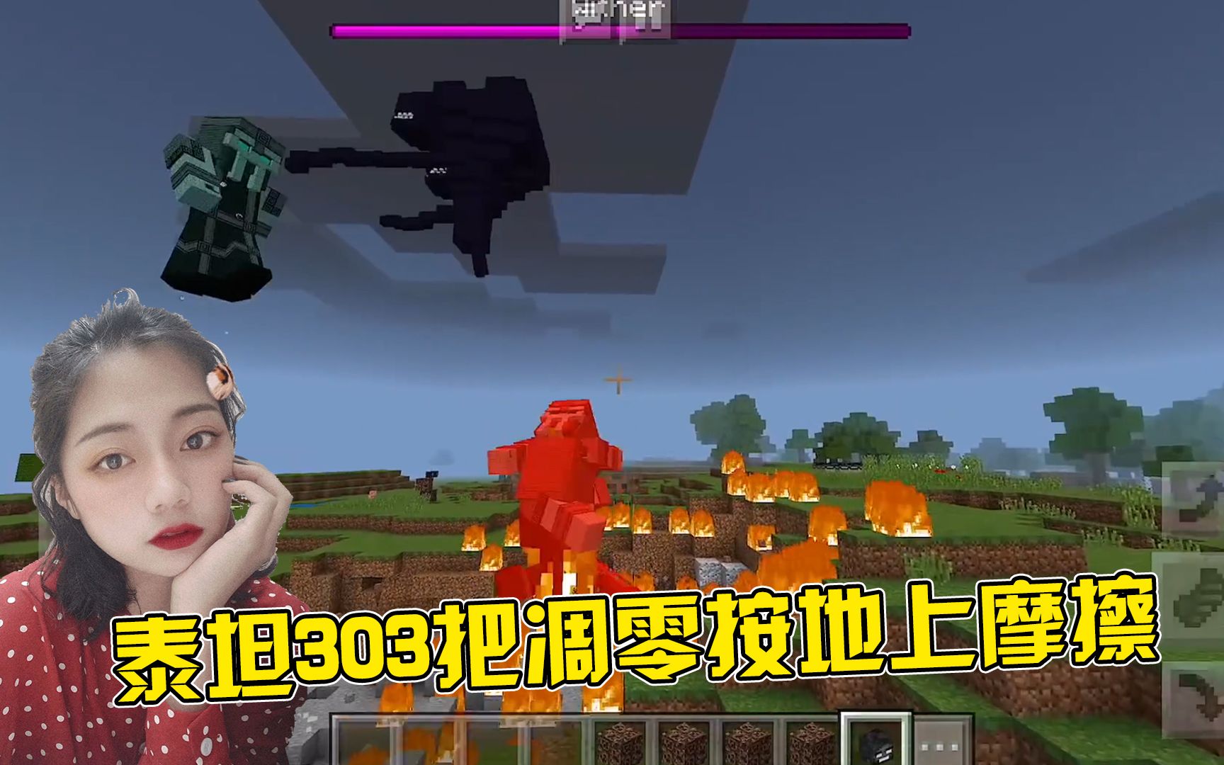 我的世界:实体303居然能把凋零按在地上摩擦!