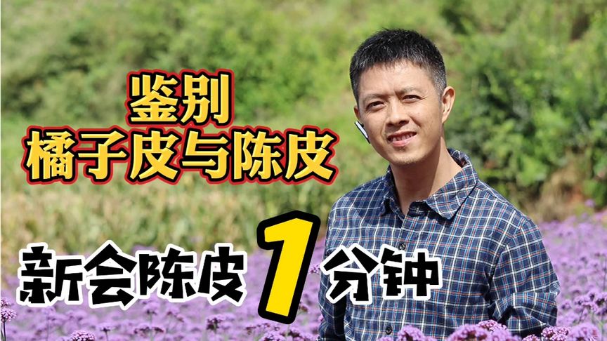 普通橘子皮做的成品与新会陈皮的区别,你能分辨得出来吗?