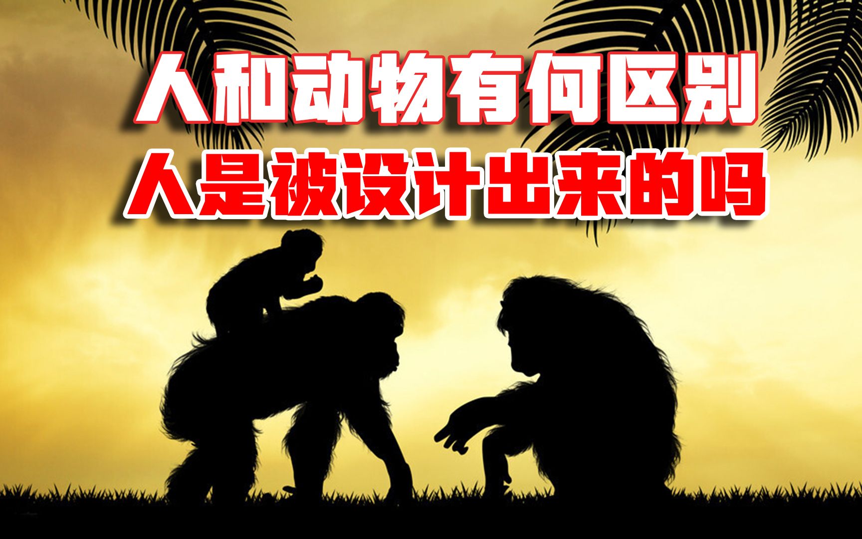 除了高智商,人和动物还有哪些本质区别?人类是造物主创造的吗?