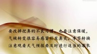 2个小妙招教你告别鼻炎 过敏性鼻炎按摩方法