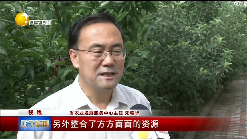 辽宁将闯出一片事业单位发展的新天地,已完成56家事业单位挂牌